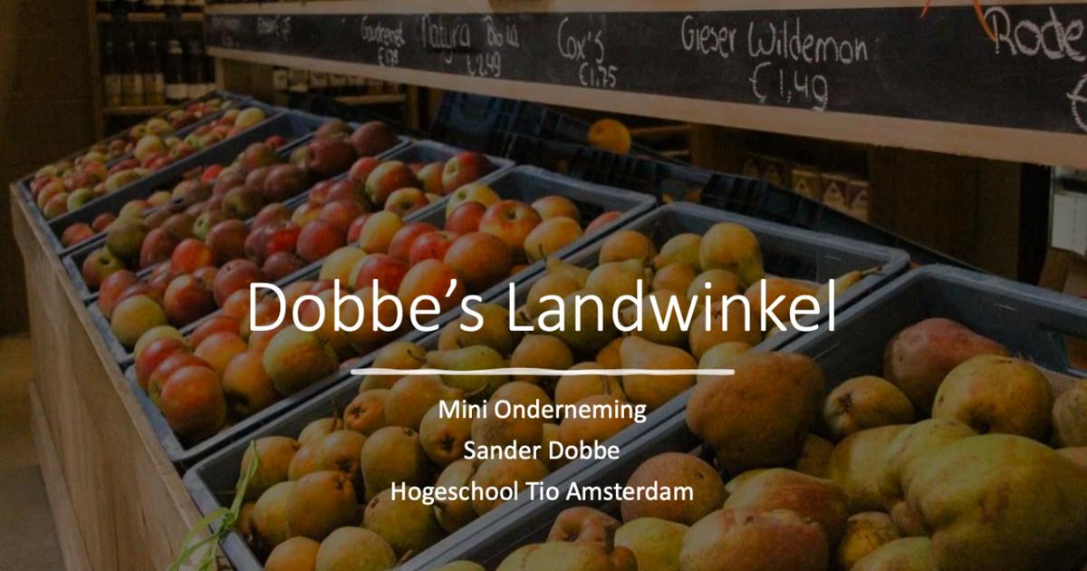 Project Mini-onderneming 1e stap richting succesvol ondernemen